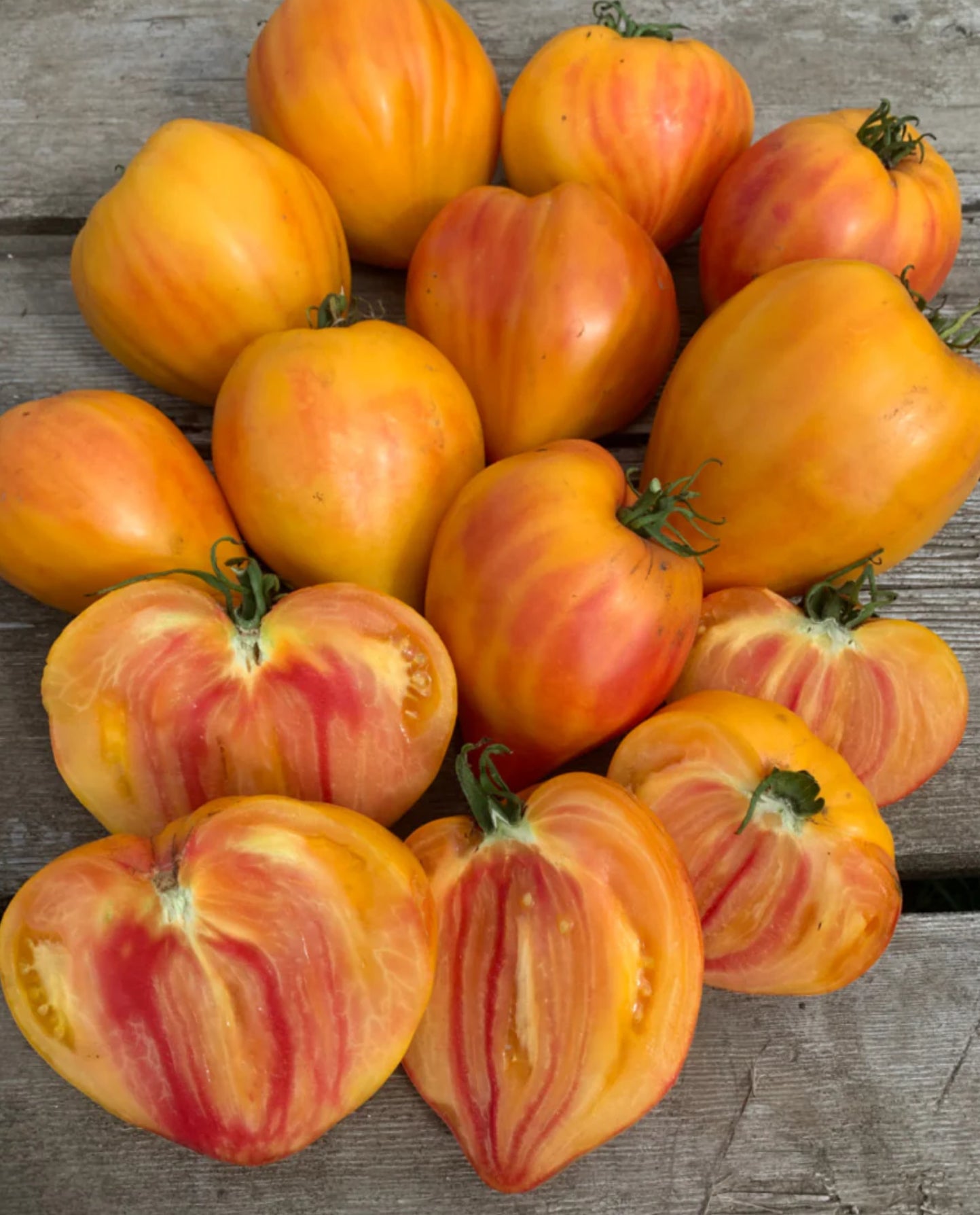 Midnight Sun Tomato | Earth Culture Organics